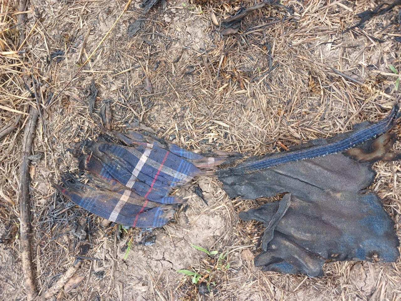 Decomposed bodies discovered in separate locations send shockwaves in ...